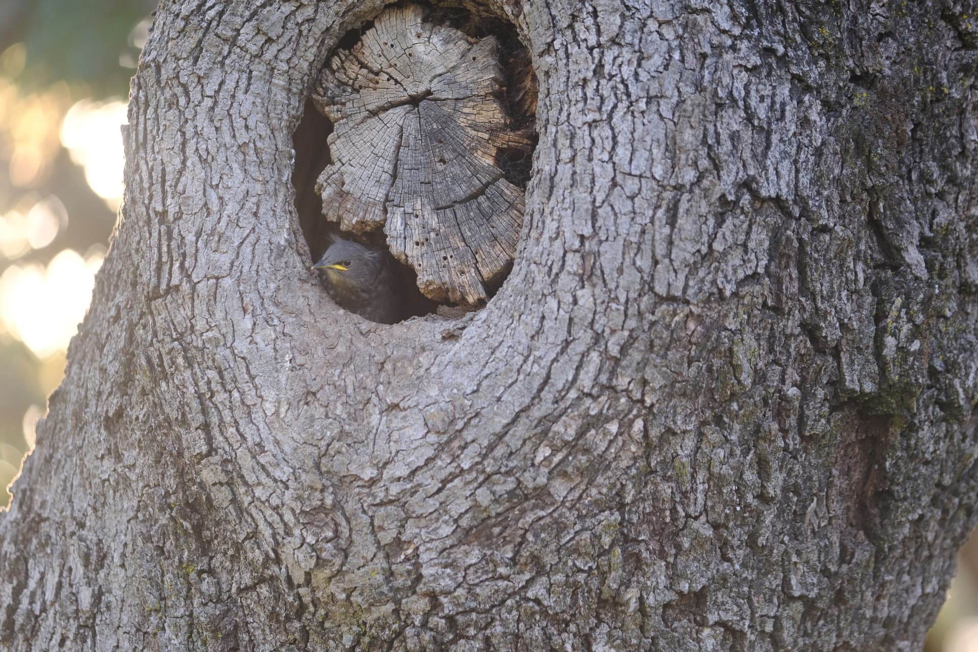 Meet Your Maker Recap: May 12-13 2023 - General Discussion - Custom Framebuilding Forum